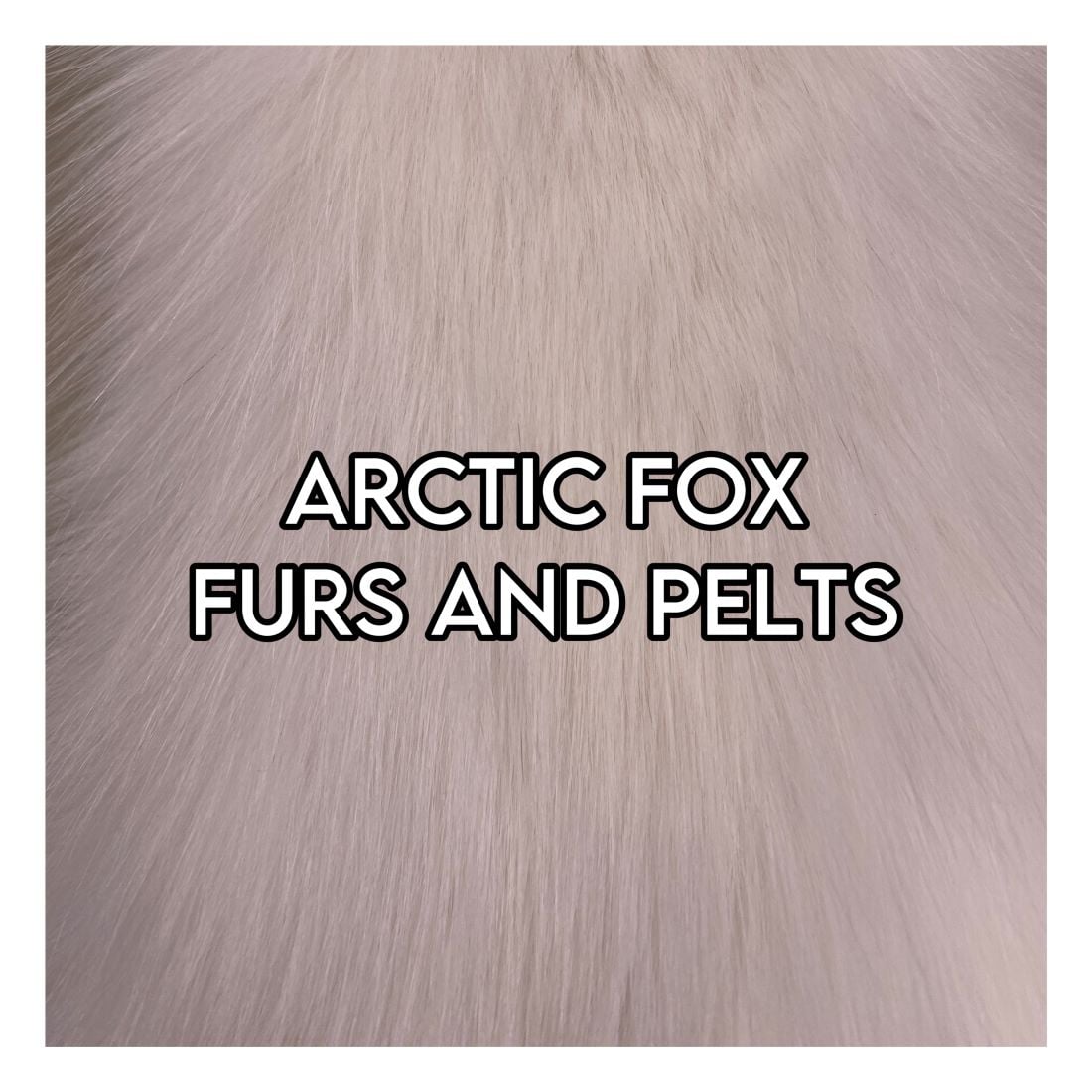 Furs & Pelts - Loose Moose Trading Post