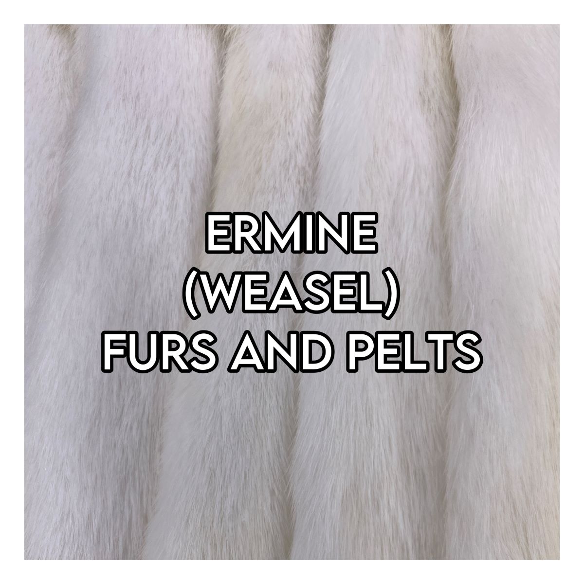 Furs & Pelts - Loose Moose Trading Post