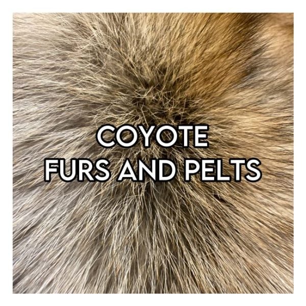 Furs & Pelts - Loose Moose Trading Post