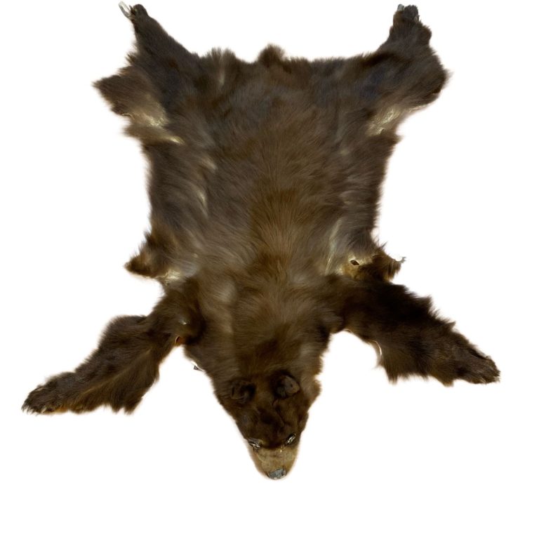 Bear (Black) Furs - Loose Moose Trading Post