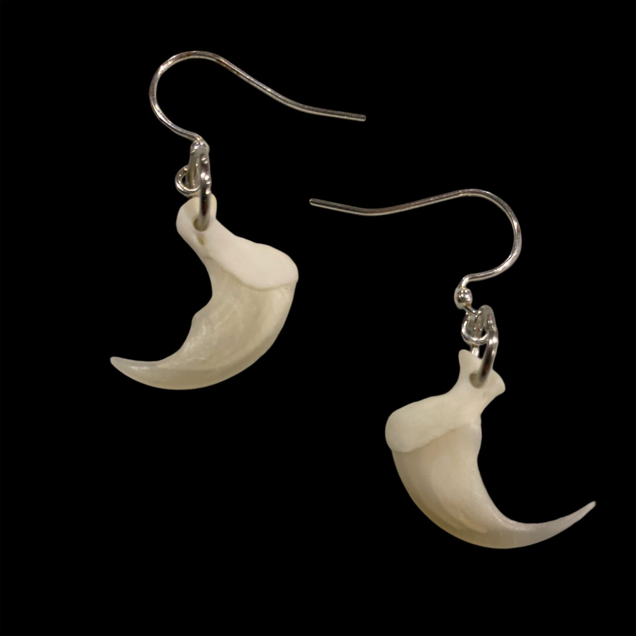 Skulls, Bones & Claws - Loose Moose Trading Post