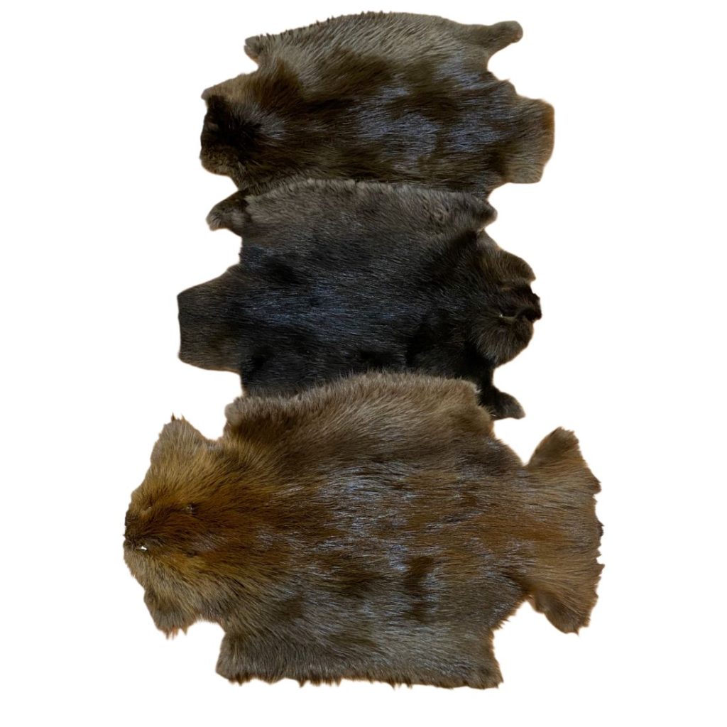 Genuine animal furs from Canada - Loose Moose Trading Post