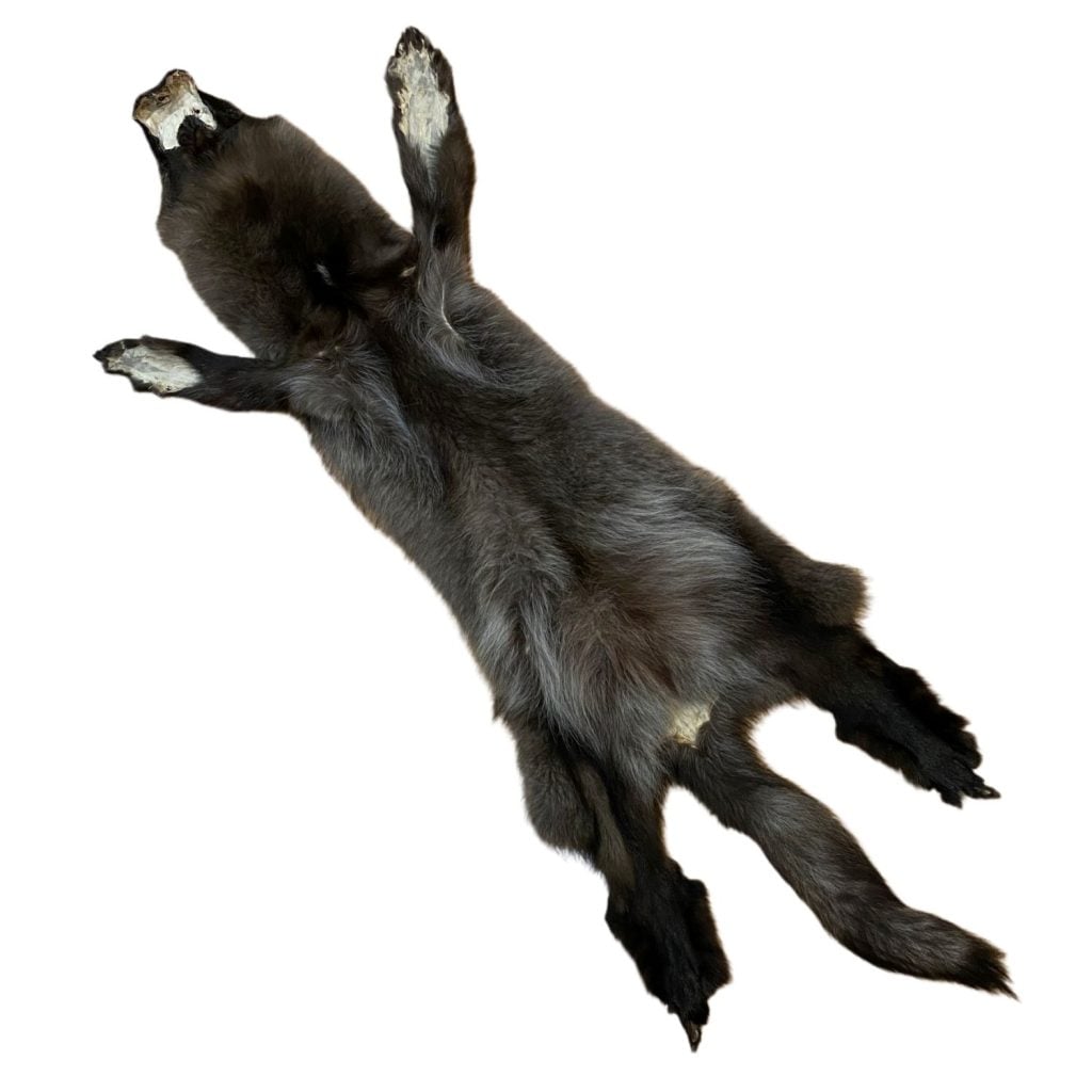 Wolf Furs - Loose Moose Trading Post