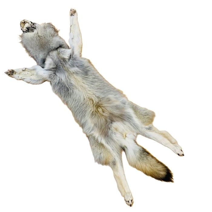 Wolf Furs - Loose Moose Trading Post